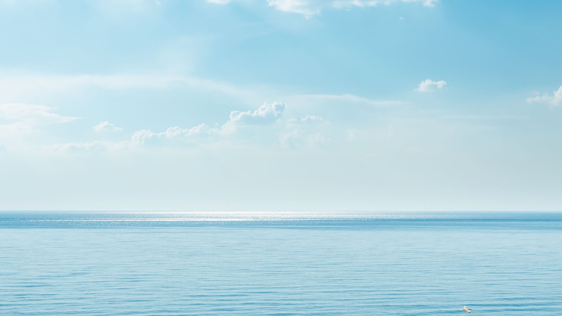 100% Natural Ingredients | Auly Official Store